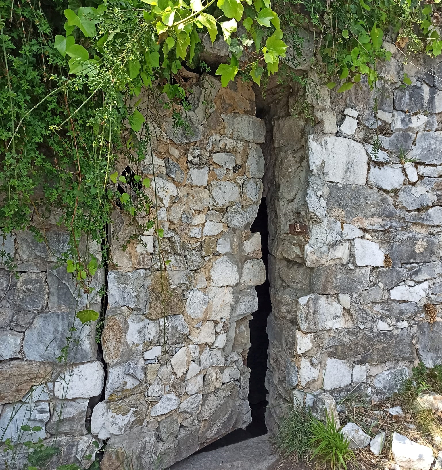 Il giardino del merlo e il passaggio segreto nel muro - Hermesmagazine