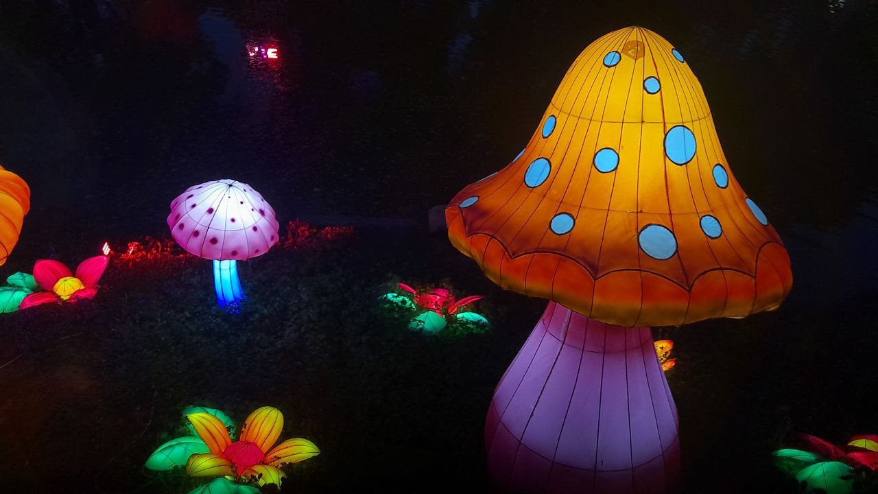 “Alice, Lost inside You” alla Mostra d’Oltremare 2024 - Hermesmagazine